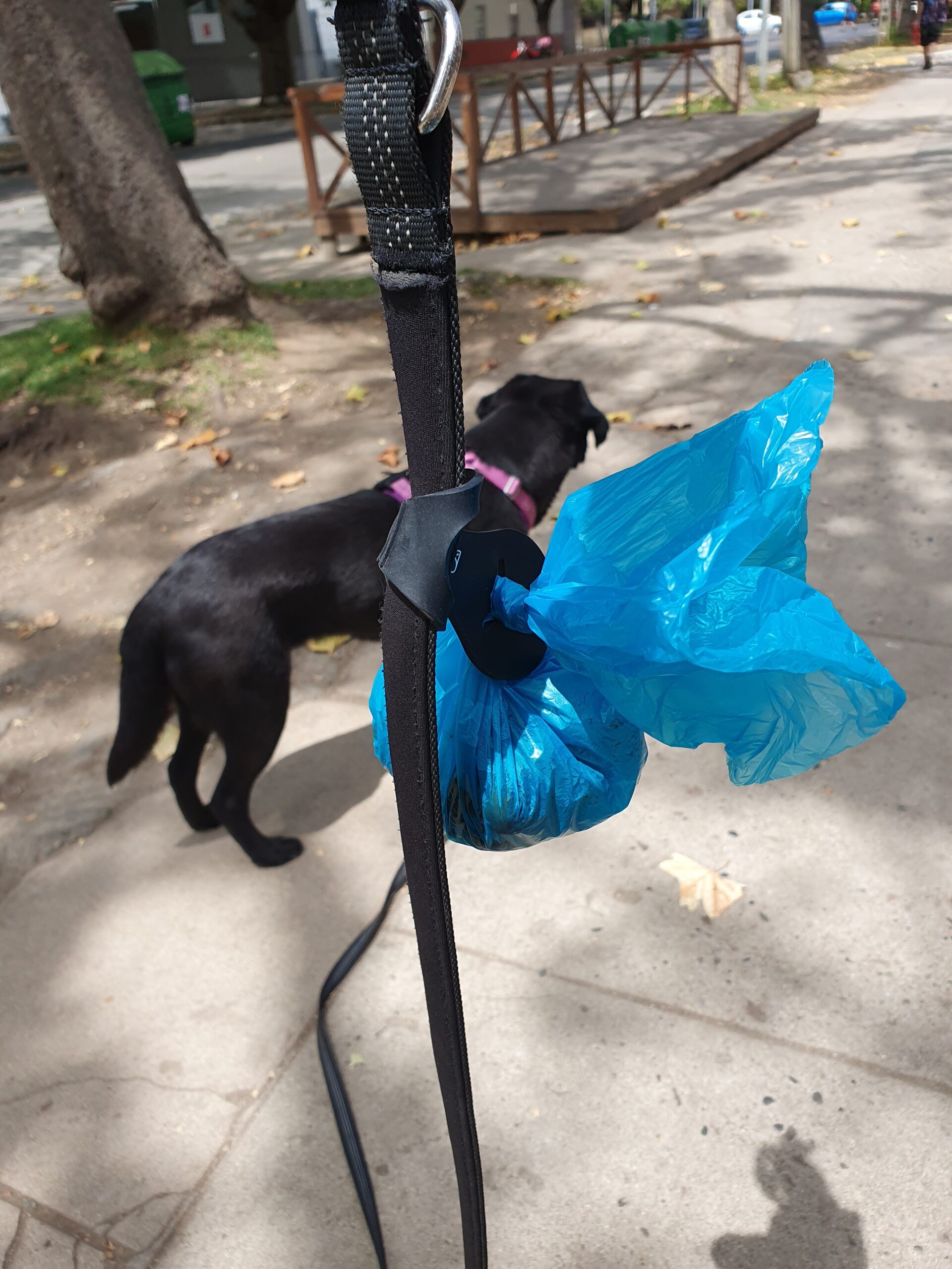 Porta Poop - Mascoideas